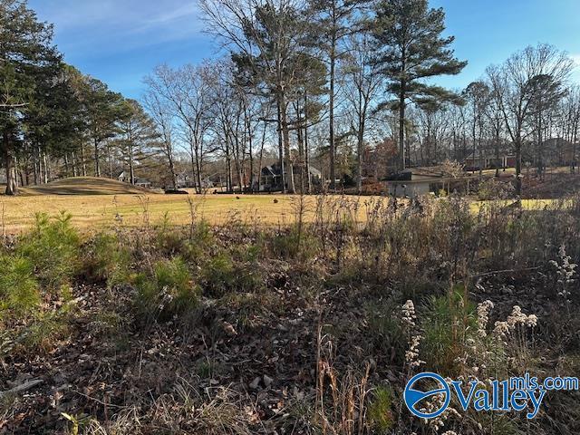 345 Woodmont Drive