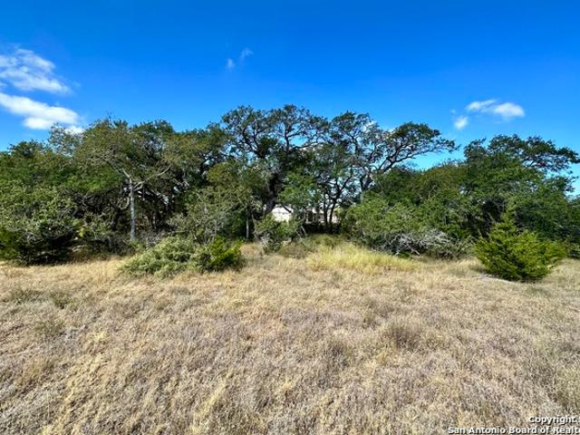 34676 Ansley Ridge Trl
