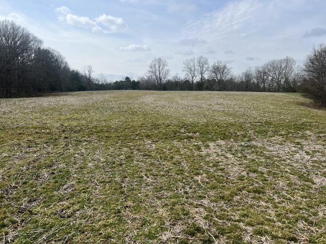 3460 New Home Rd, Smithville, TN 37166 | MLS #3135