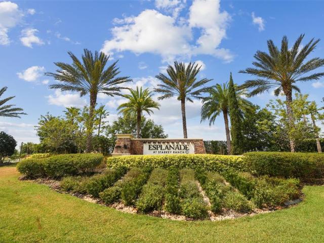 3462 Forsythia Dr, Odessa, FL 33556 | MLS #W7883 | Compass