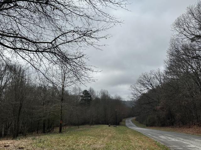 3462 Roy Parks Road