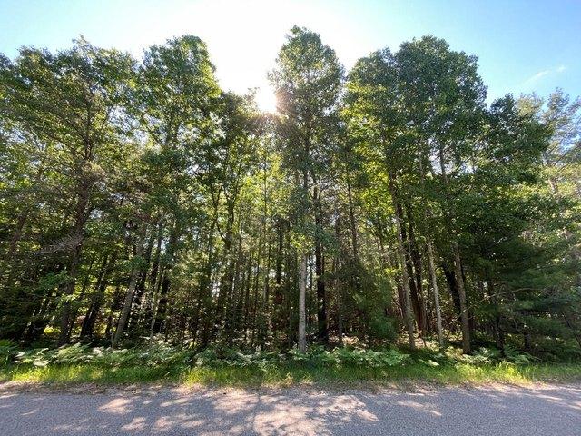 346 347 Reindeer Dr, Prudenville, MI 48651