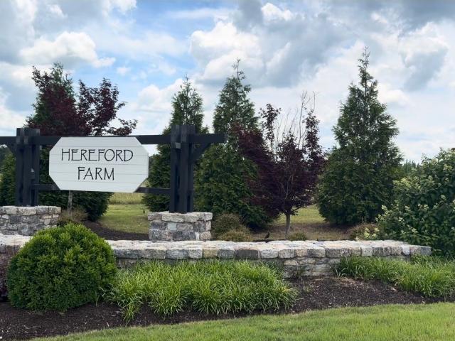 346 Hereford Farms