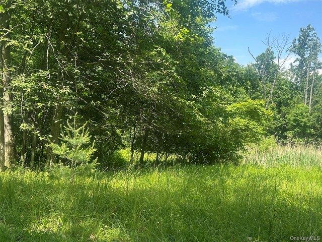 346 Oak Ridge Rd, Ellenville, NY 12428