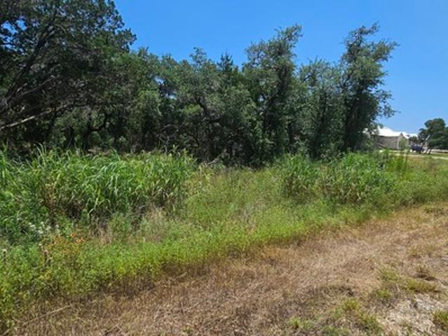 34716 Ansley Ridge Trl