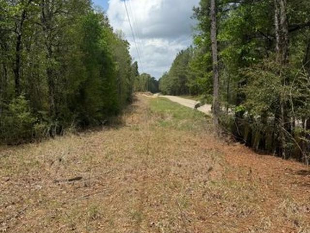347 E Old Highway 49, Hattiesburg, MS 39401