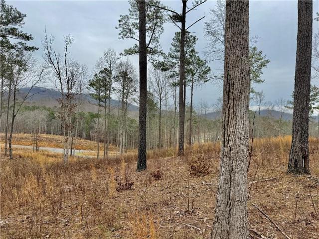 347 Timbercreek Trail