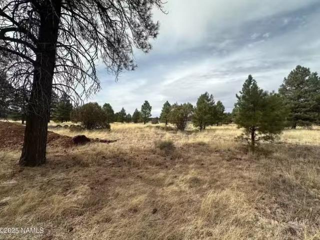 3480 E Mountain Man Trail, Williams, AZ 86046 MLS 199833