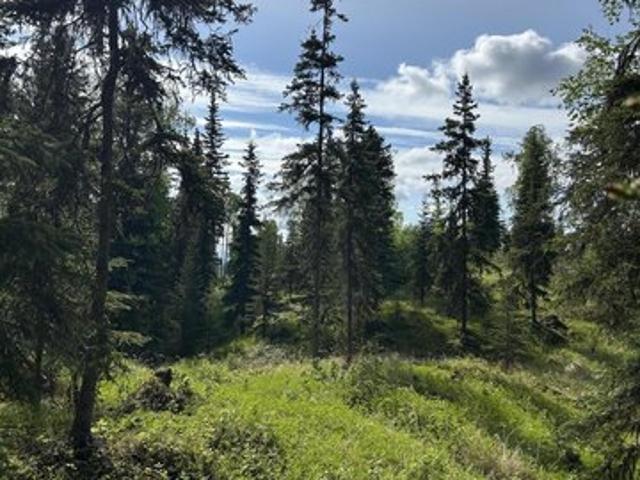 34815 Schwalm Rd, Soldotna, AK 99669