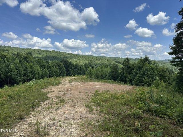 348 Coalpit Branch Dr, Dungannon, VA 24245