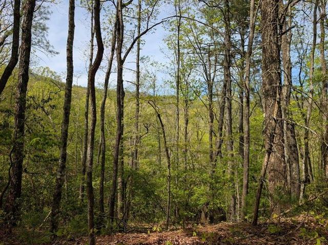348 Atali Cir, Murphy, NC 20906