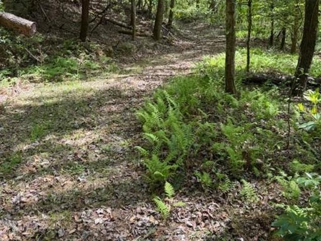 348 Hemlock Trail, Ellijay, GA 30540 | MLS #7755