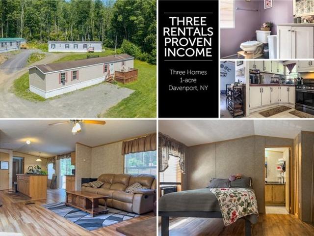 348 Vandeusen Rd, Davenport, NY 13750