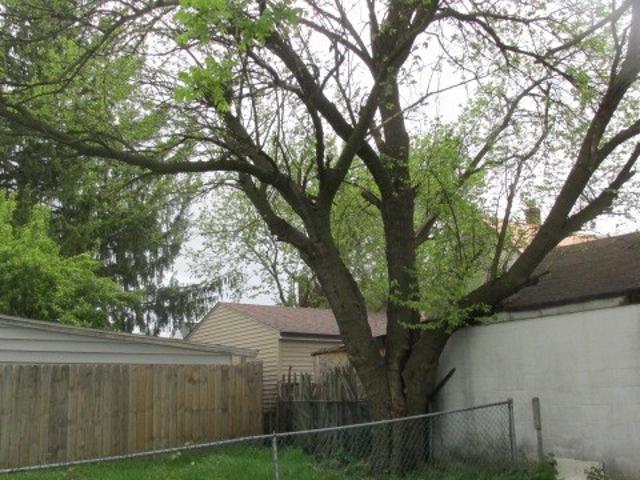 3497 W 46th Street
