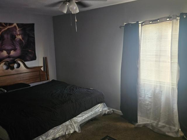 3490 Lancing Court
