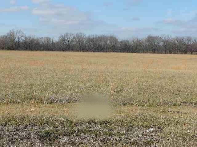 349 Ball Park Loop, Ledbetter, KY 42058