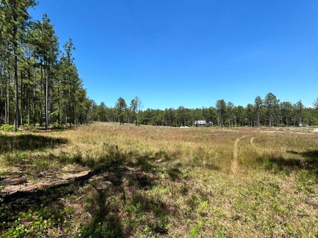 349 Lally Cir, Aberdeen, NC 28315 | MLS #100559