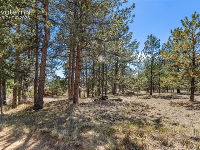 349 Rhyolite Ln, Florissant, CO 80816