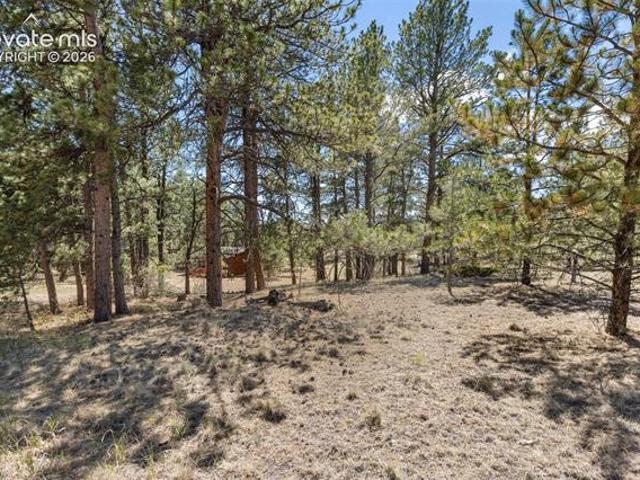 349 Rhyolite Lane