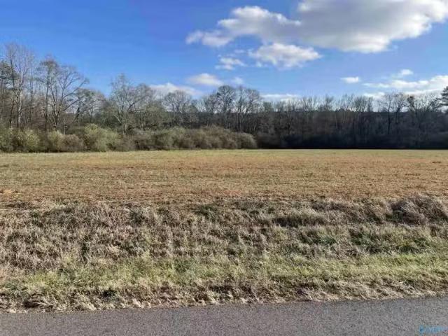 34.2 ACRES BLESSING ROAD, BOAZ, AL 35957 Vacant Land For Sale.