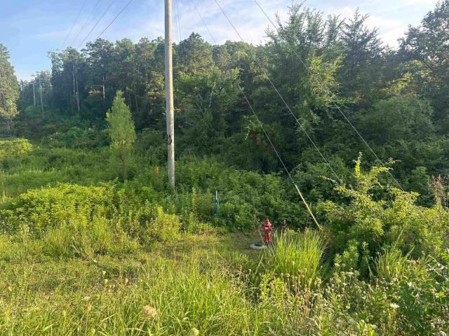 34.35 Acres Hwy 65 N