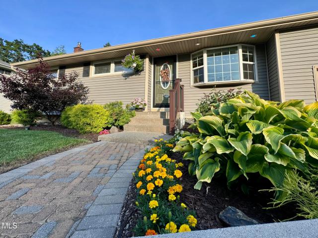 34 Venus Drive