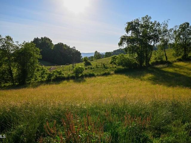 34 Vineyard Farms Pkwy, Butler, TN 37640
