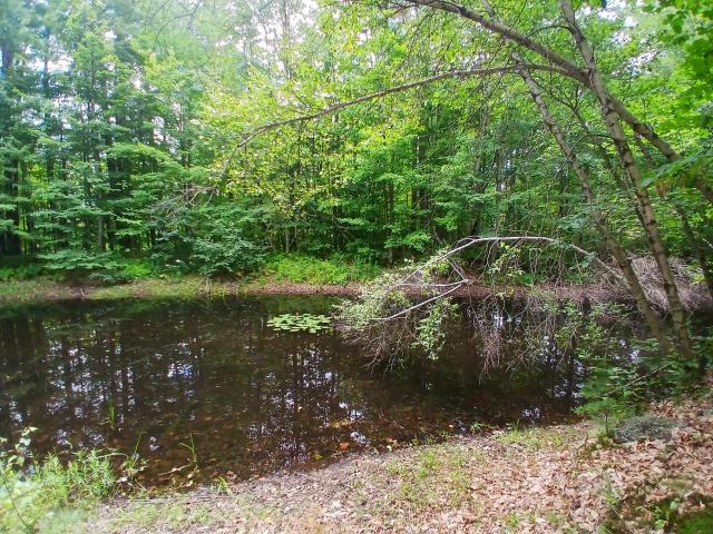 34 Wild Meadow Road