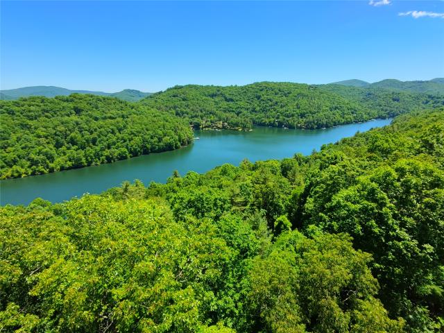 34 Wild Blackberry Ridge