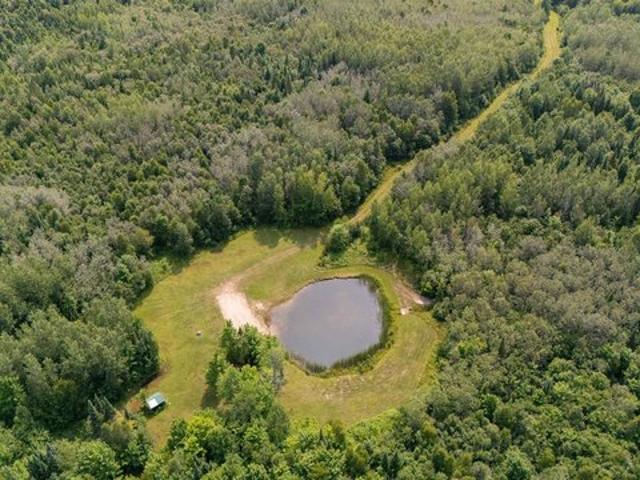 34 Acres Townline Rd, Gulliver, MI 49840