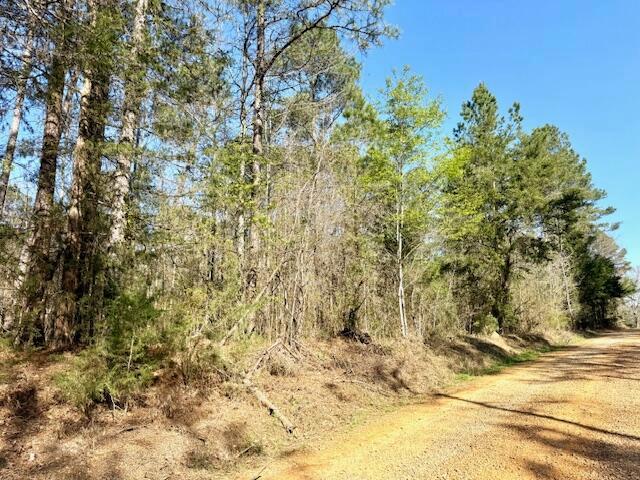 James Stanley Turnaround Rd, Louisville, MS 39346