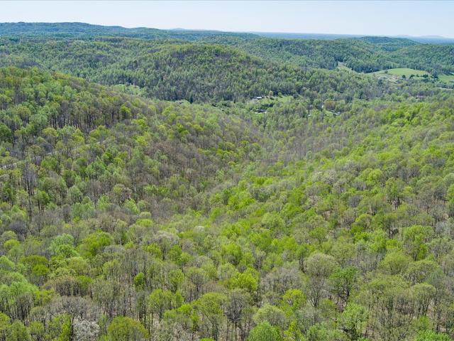 34 Acres Rocky Point Road