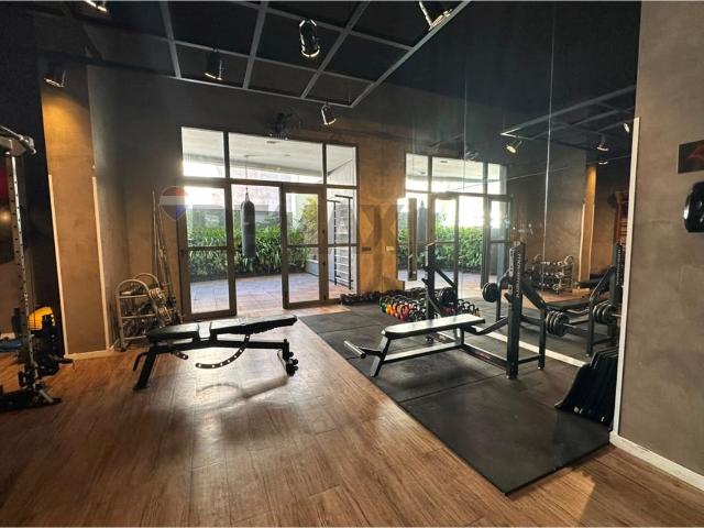 34 Área Útil Studio Alugar, 1 Dormitórios localizado em Rua Paulistânia, 215, Vila Madalena, São Paulo, São Paulo, 05440 000 | Brasil