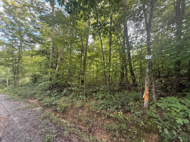 34 Buck Creek Circle