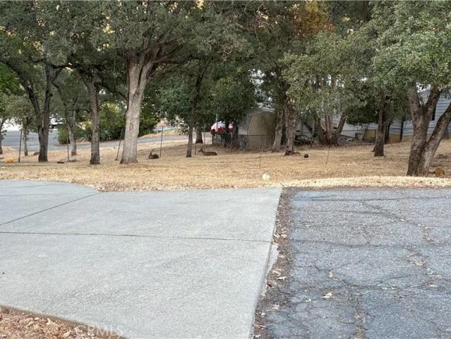 34 Coho, Oroville, CA 95966 | MLS #PV25150