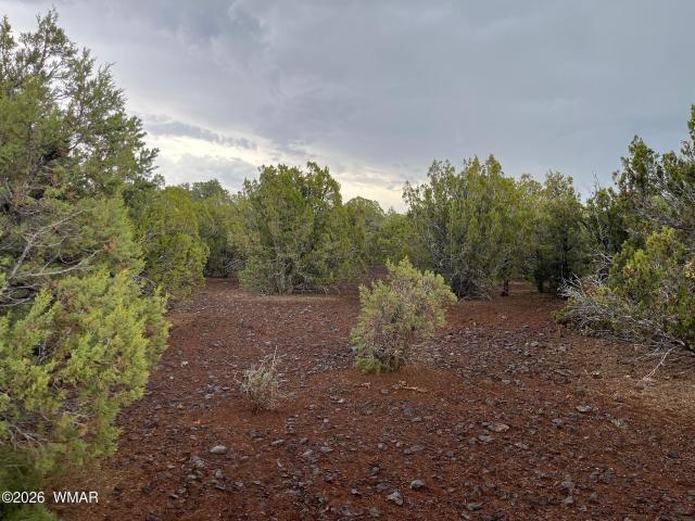 34 County Road 8406