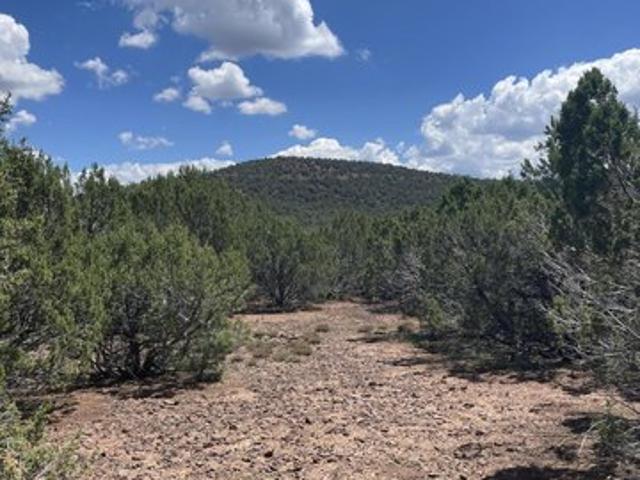 34 County Road 3323, Vernon, AZ 85940