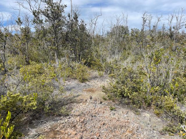34 Hukilau Dr, Lot 34, Ocean View, HI 96704 | Compass