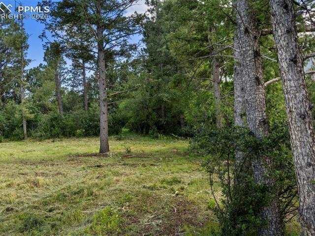 34 Marland Rd, Colorado Springs, CO 80906 | MLS #5163