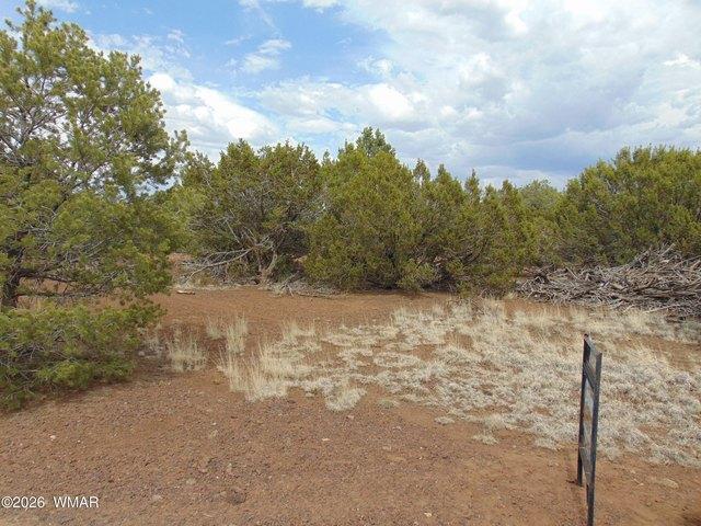 34 N3124, Vernon, AZ 85940