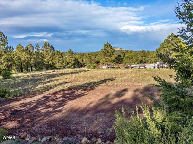 34 N # 1330, Greer, AZ 85927