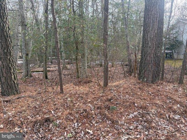 34 Robin Hood Trl, Ocean Pines, MD 21811