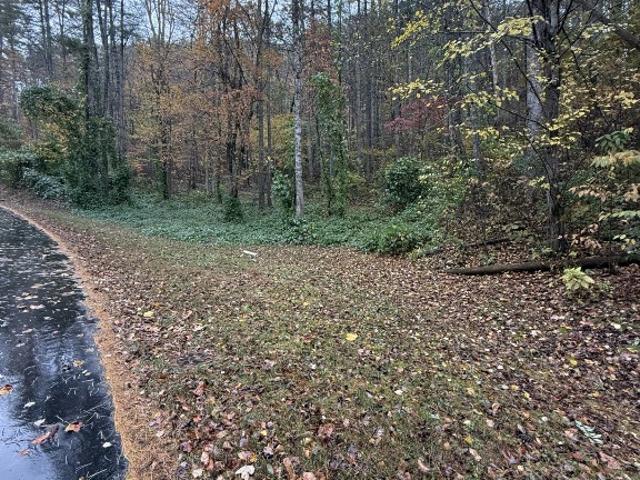 34 Rustling Woods Trail