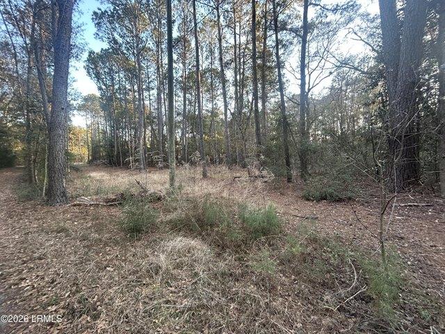 Harris Ln, Saint Helena Island, SC 29920