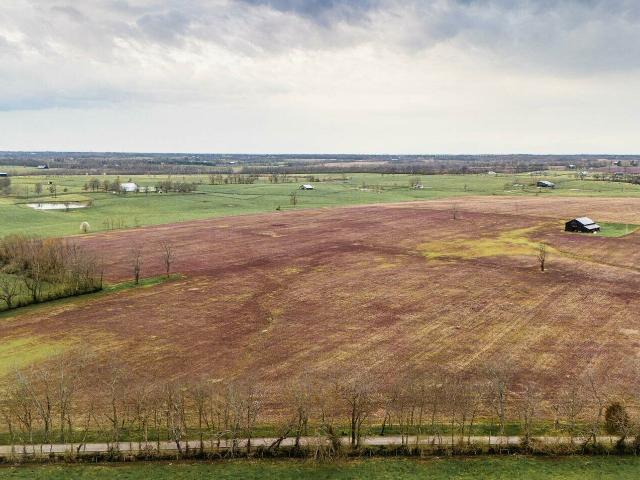 3505 Basin Springs Road, Winchester, US, KY