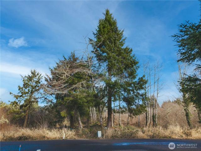 3507 nd St, Long Beach, WA 98631 | MLS #2307 | Compass