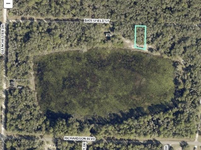 35084 Batesfield St, Webster, FL 33597