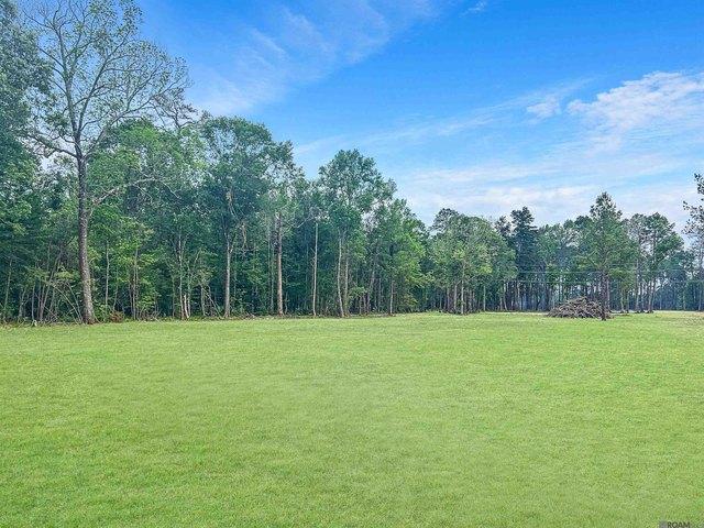 35085 Coy Holden Rd, Walker, LA 70785