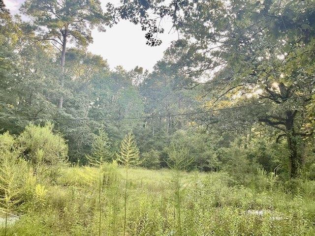 3508 Gilliland Creek Rd, Huntington, TX 75949