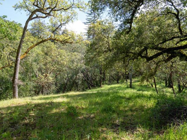 35000 Robinson Canyon Road
